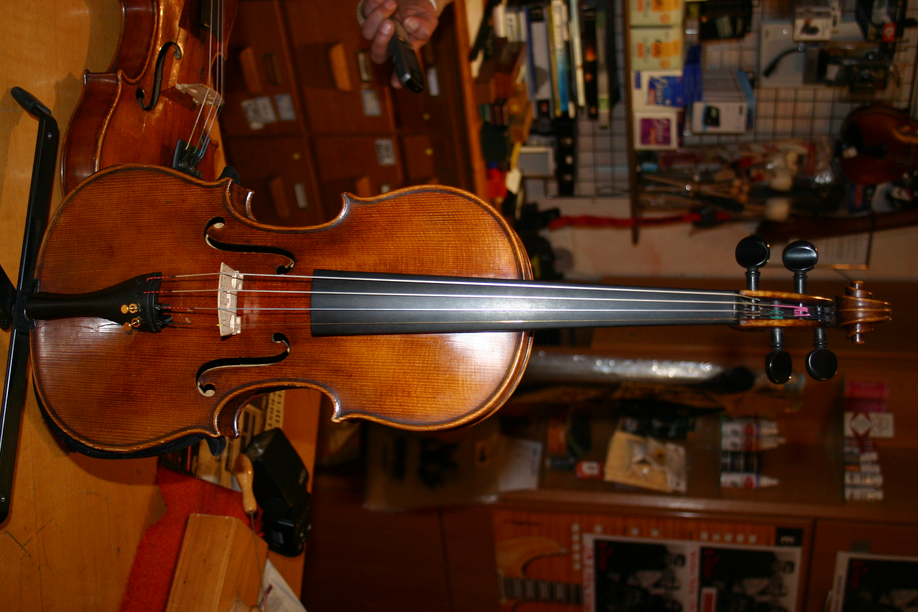 Violine Kleinanzeigen Seite 1